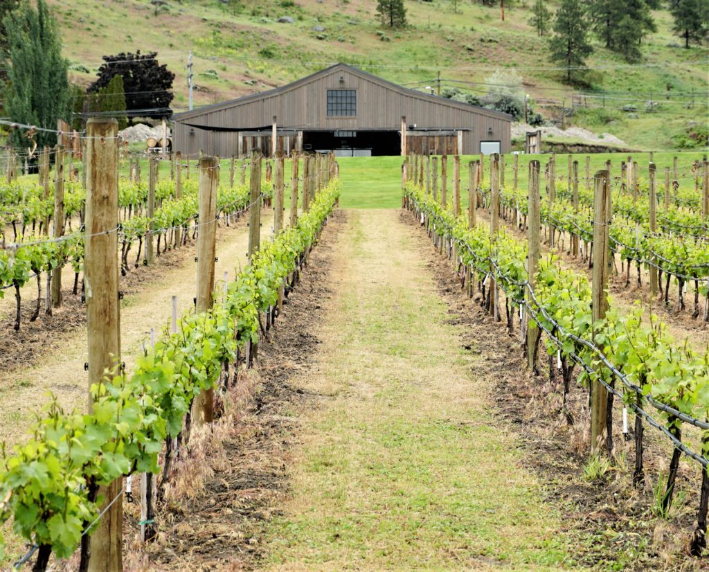 Little Engine Wines: Dreams Made True - Advinetures.ca