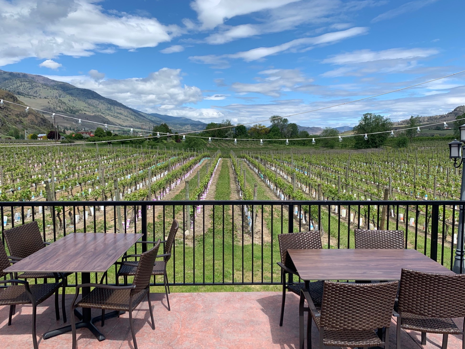 Wine Country Eats: Manzil at Kismet Estate - Advinetures.ca