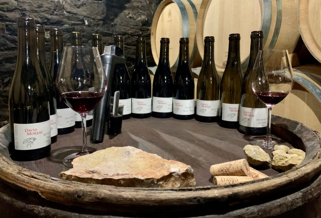 Domaine David Moreau: Hidden Treasure - Advinetures.ca