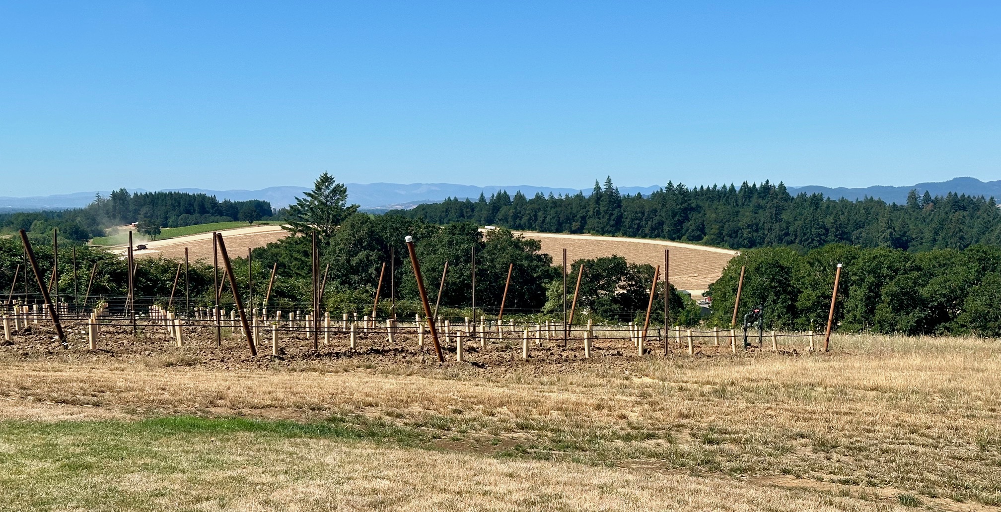 Ghost Hill Cellars: A Hidden Treasure in Oregon - Advinetures.ca