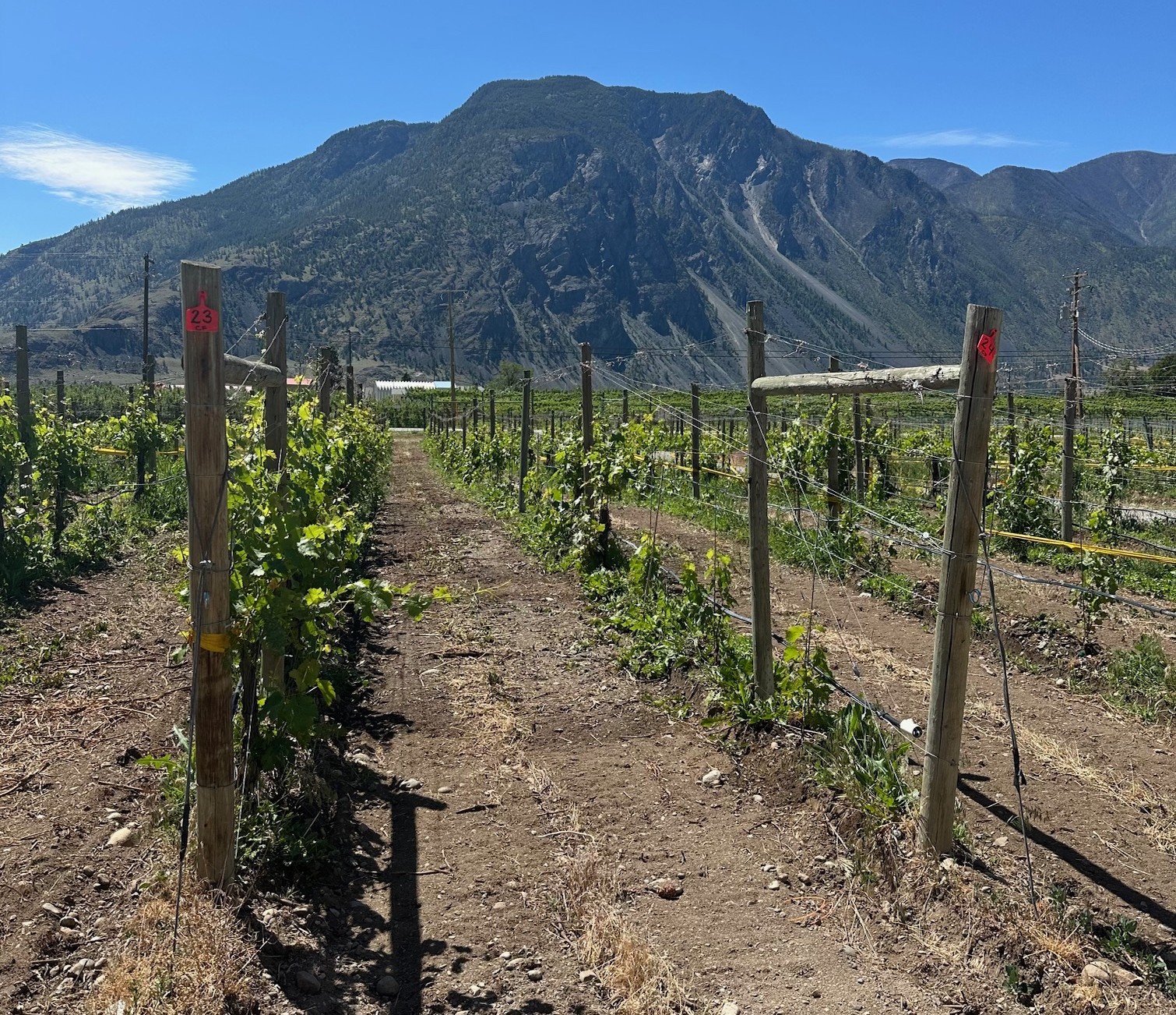 Clos du Soleil: Shining Bright Among BC’s Best - Advinetures.ca